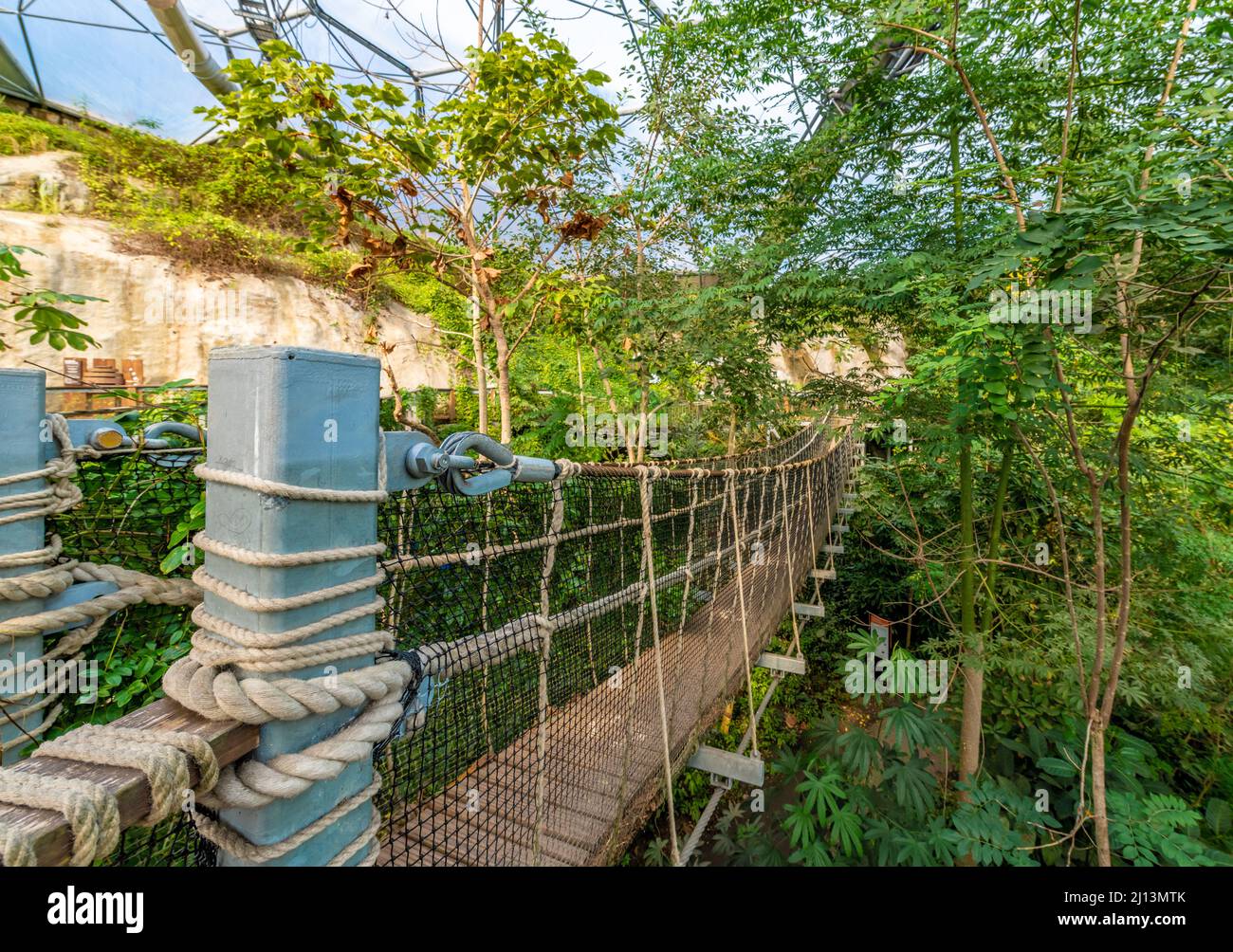 Walkway bridge inside the Eden Project in Cornwall, UK Stock Photo - Alamy