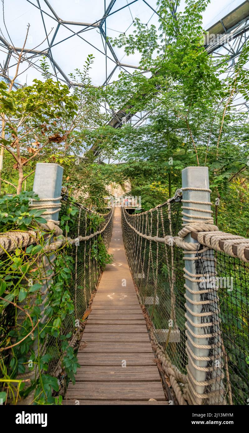 Walkway bridge inside the Eden Project in Cornwall, UK Stock Photo - Alamy