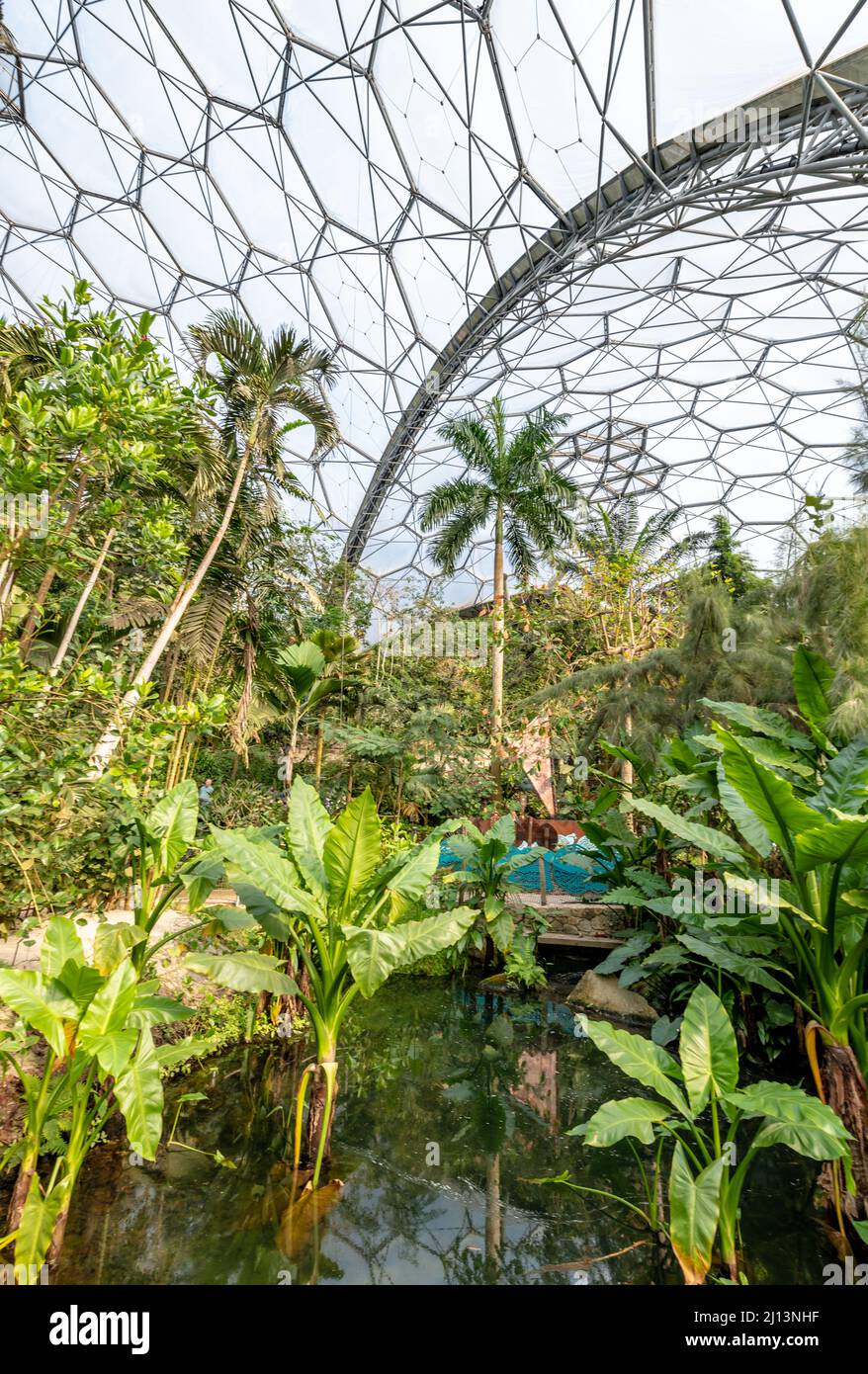 Inside the biome at the Eden Project in Cornwall Stock Photo - Alamy