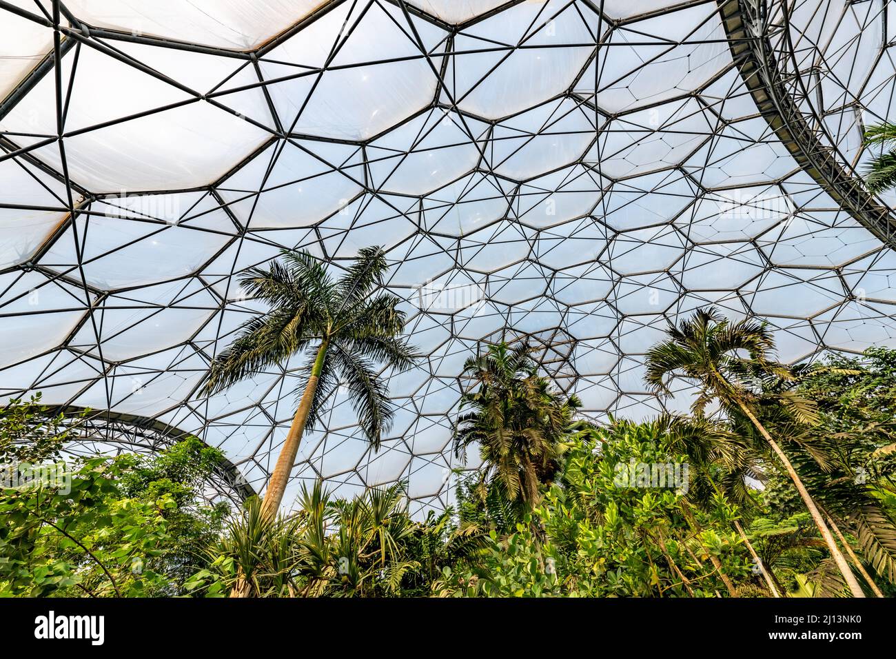 Inside the biome at the Eden Project in Cornwall Stock Photo - Alamy