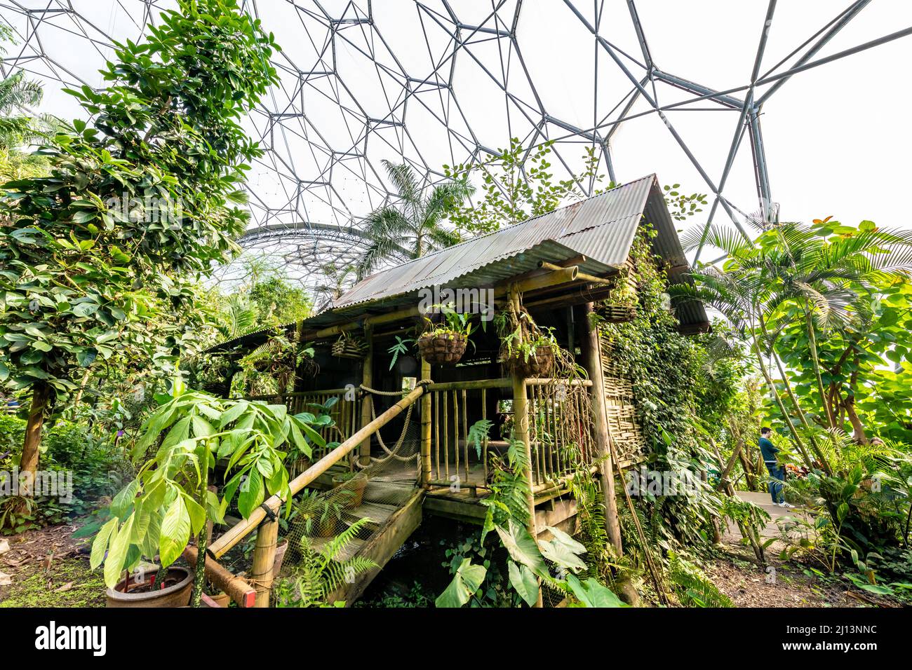 Inside the biome at the Eden Project in Cornwall Stock Photo - Alamy