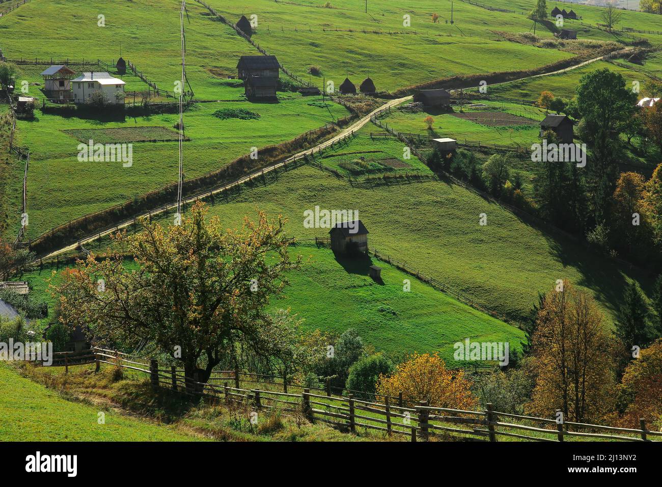Fresh meadow perspective hi-res stock photography and images - Alamy