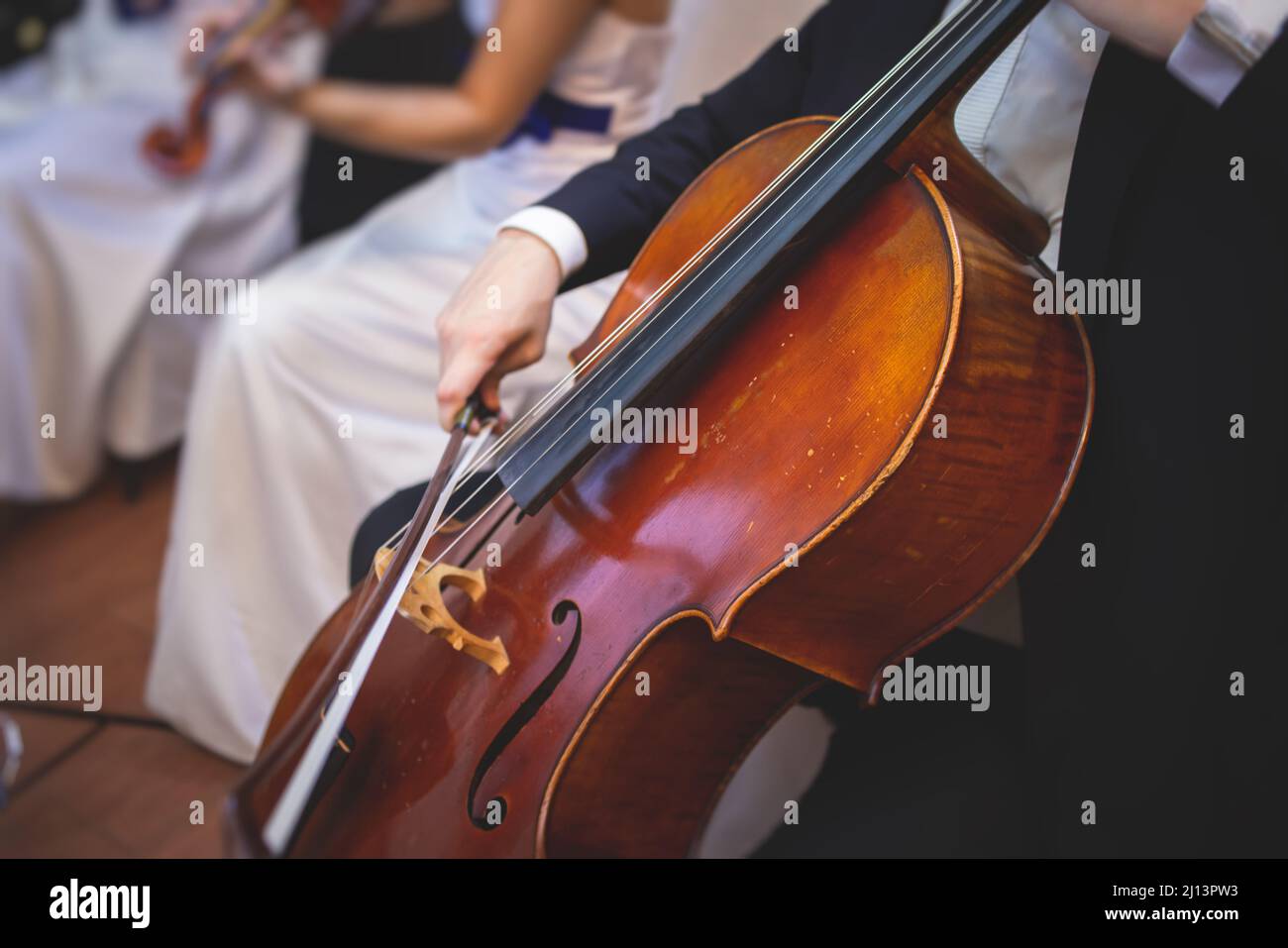 Concert view of contrabass violoncello player with vocalist and musical ...