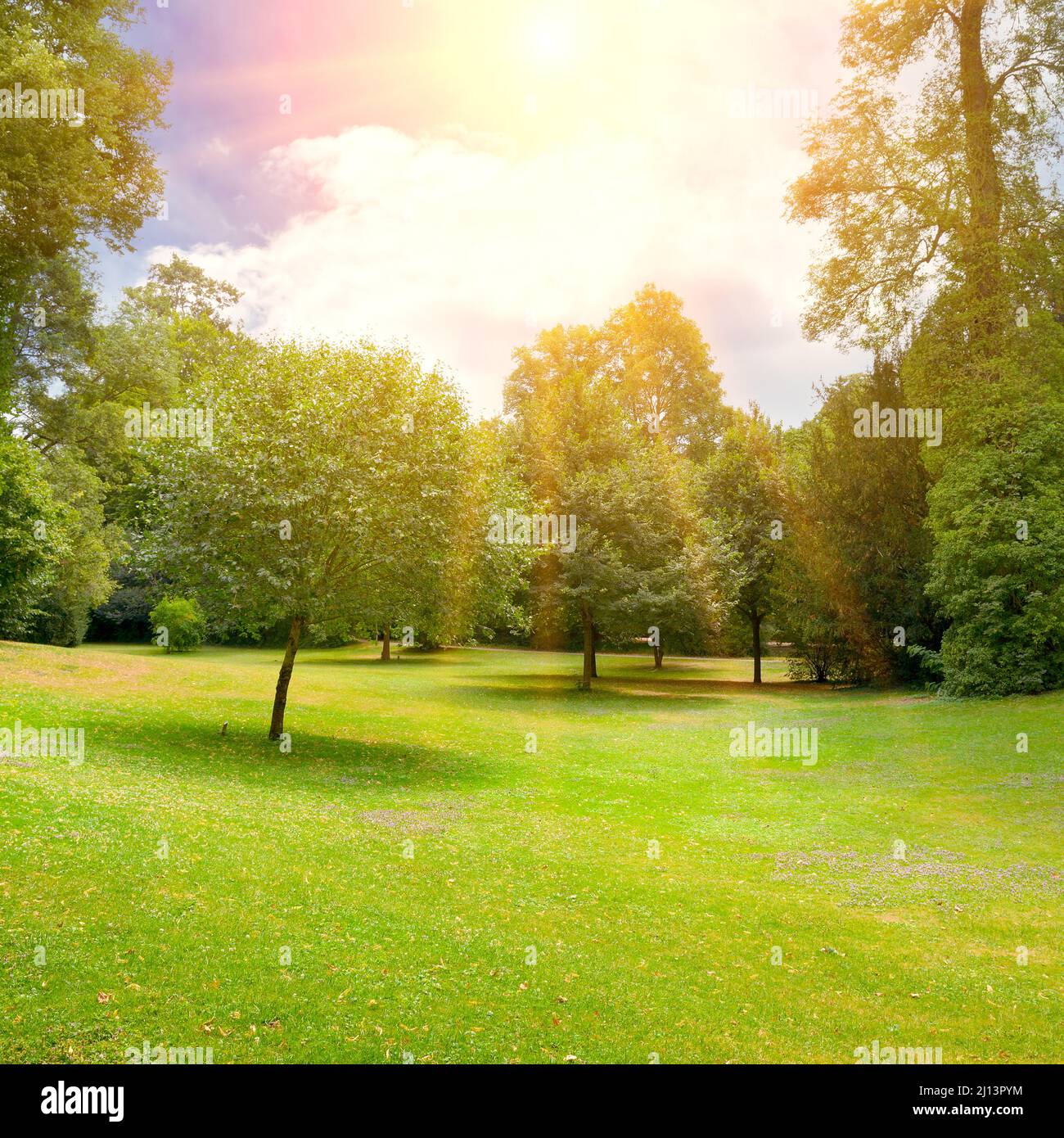 Daylight and summer scenic grassland hi-res stock photography and ...