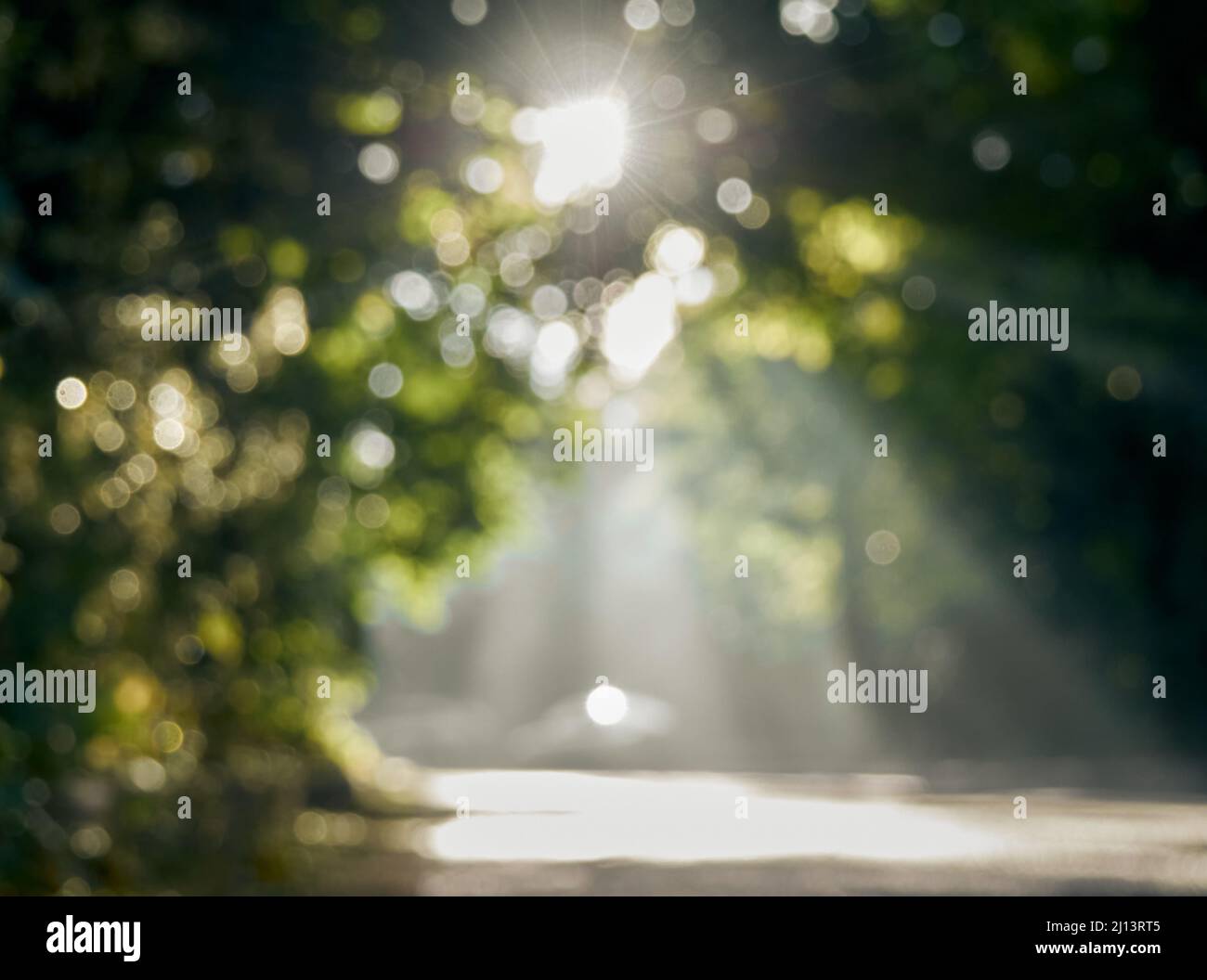 Wallpaper environment hi-res stock photography and images - Alamy