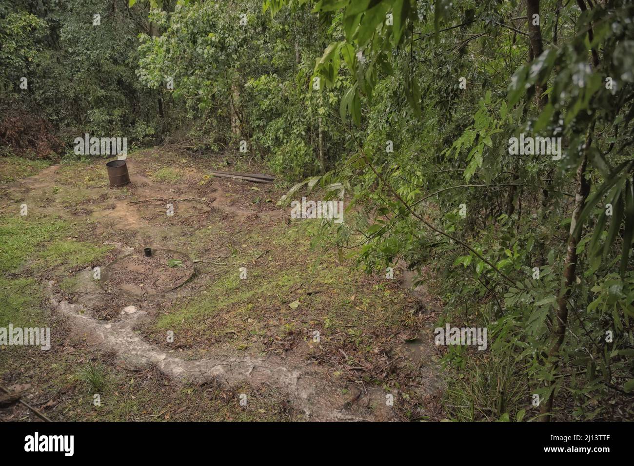 Backyard Flooding in monsoon near Kuranda Stock Photo - Alamy