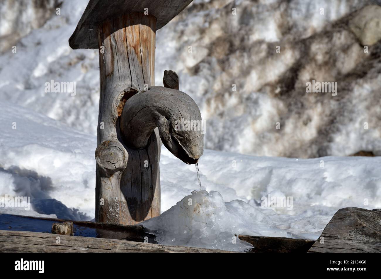 Large snake hi-res stock photography and images - Alamy