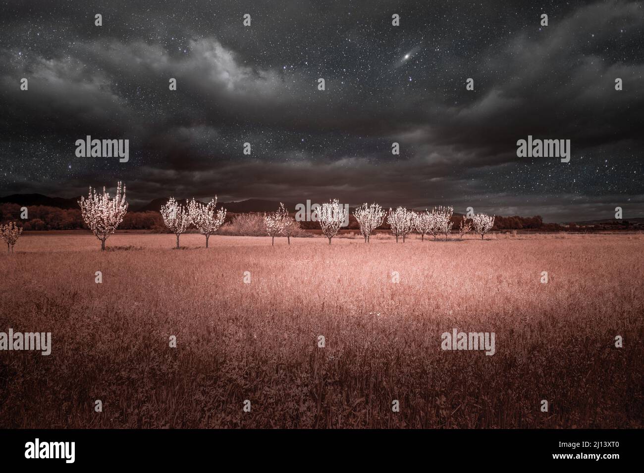 Infrared rural landscape scenery Stock Photo - Alamy