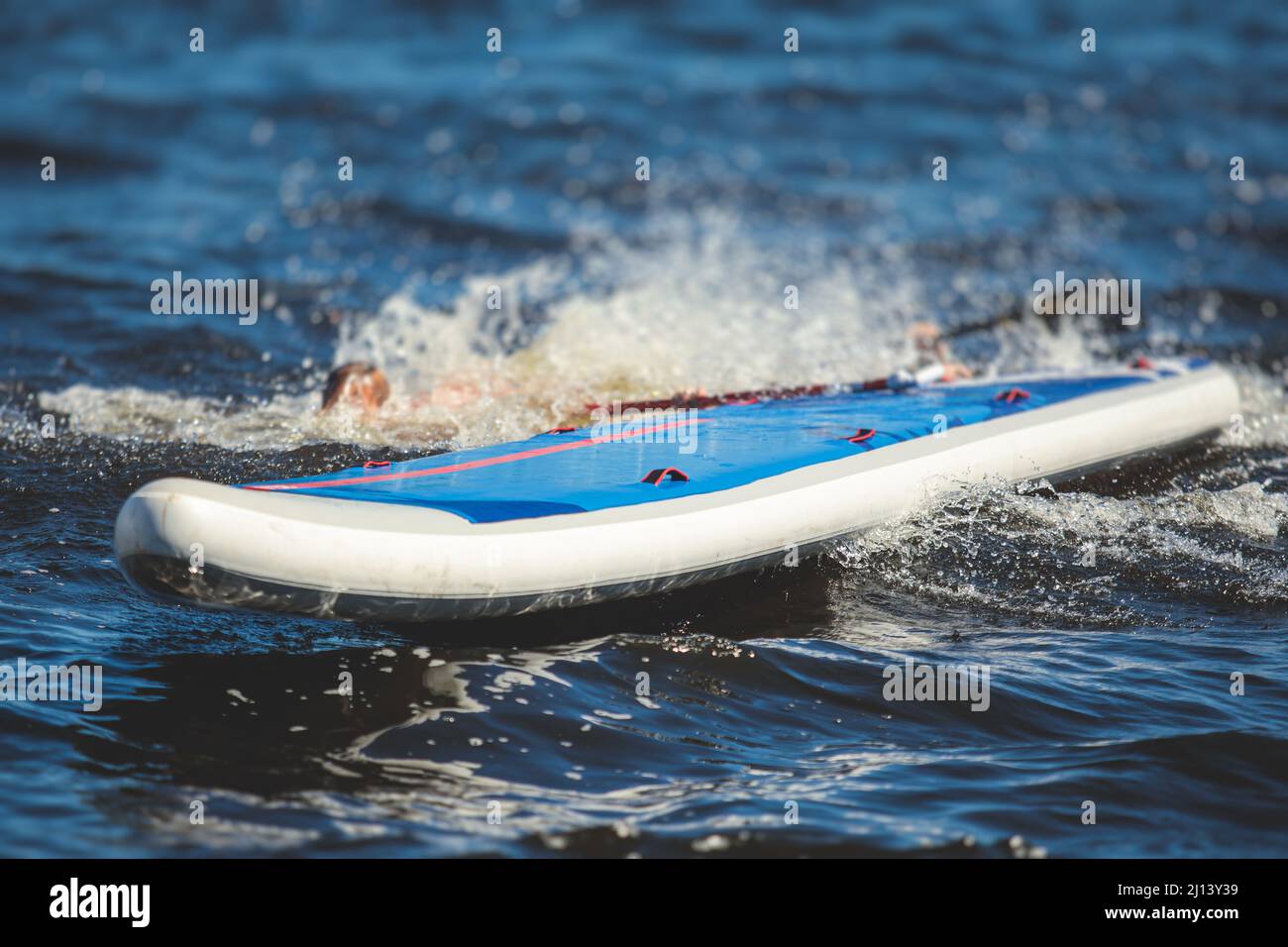 Young sup surfers group fall from SUP stand up paddle board, women ...