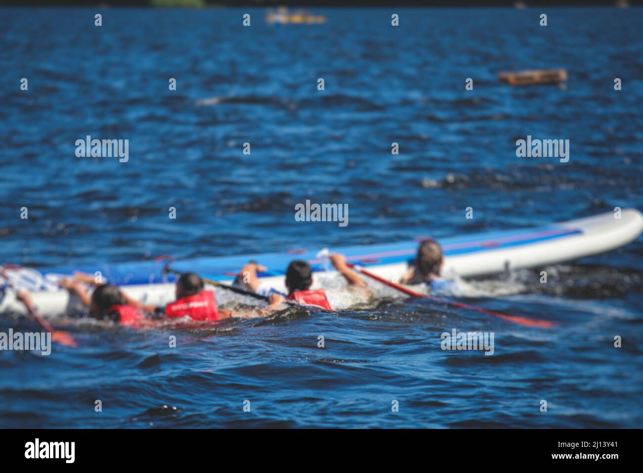 Group of young SUP surfers fall from stand up paddle board, women ...