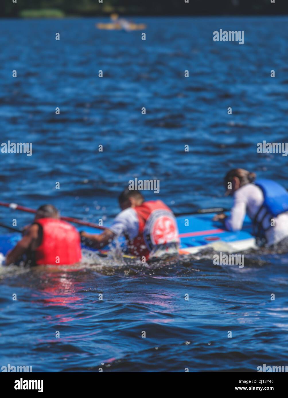 Group of young SUP surfers fall from stand up paddle board, women ...