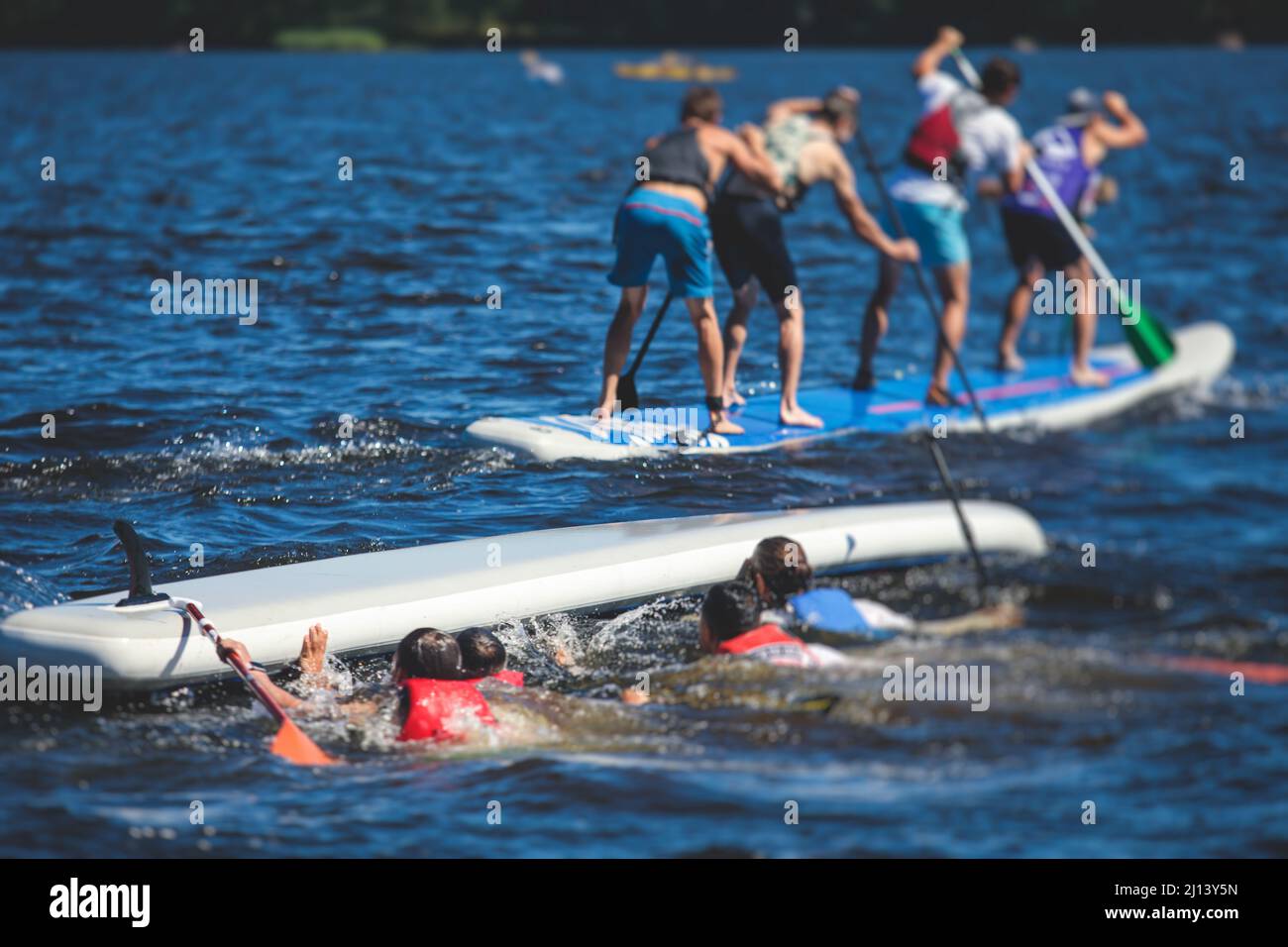 Group of young SUP surfers fall from stand up paddle board, women ...