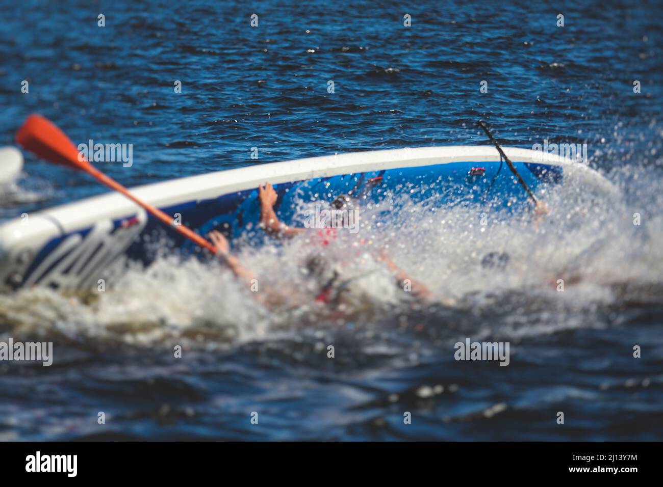 Group of young SUP surfers fall from stand up paddle board, women ...