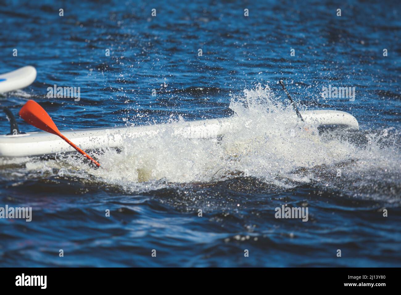 Group of young SUP surfers fall from stand up paddle board, women ...
