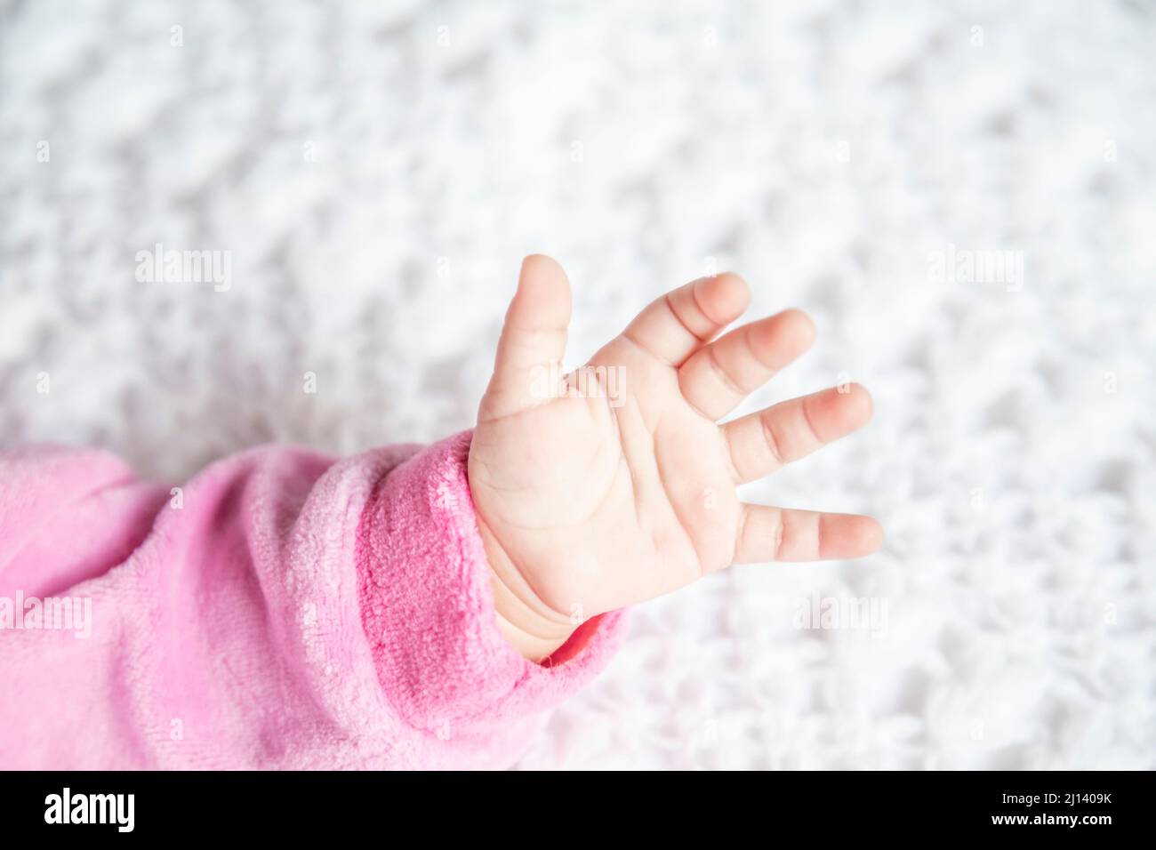 baby palm, closeup palm of a baby or kid. closeup small hand of a ...