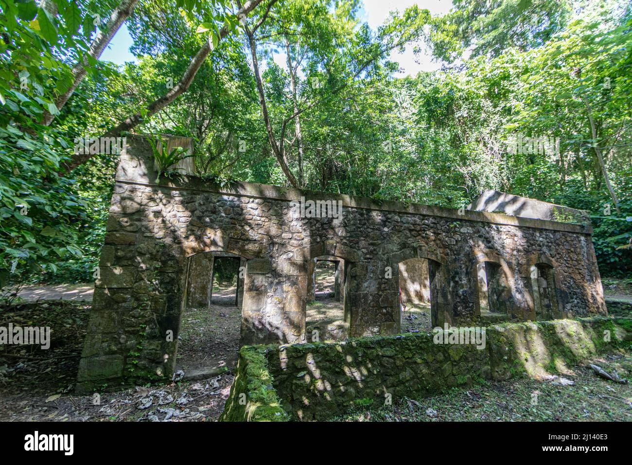 Ruins of anse Couleuvre plantation - Le Precheur, Martinique French ...