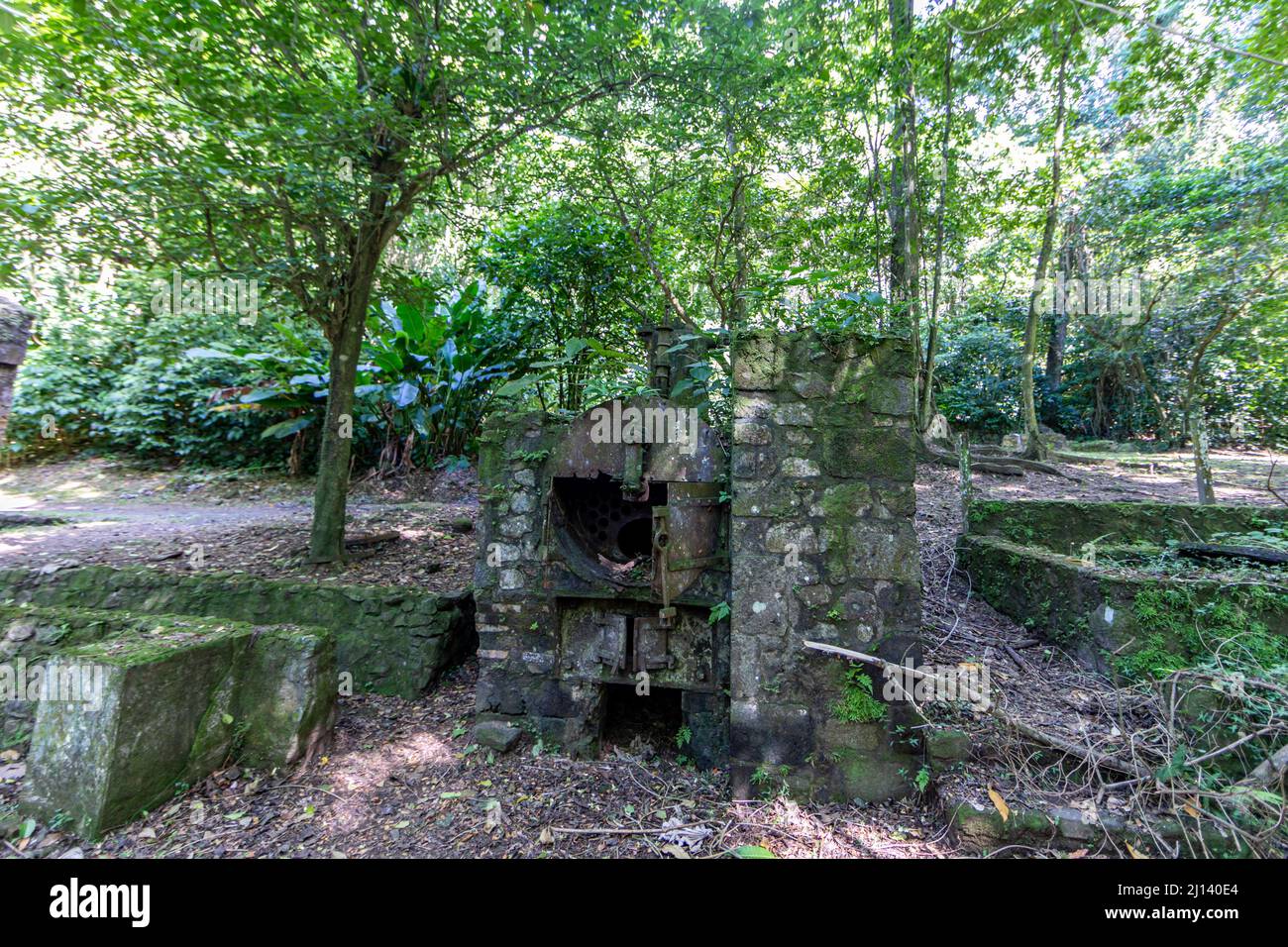 Ruins of anse Couleuvre plantation - Le Precheur, Martinique French ...
