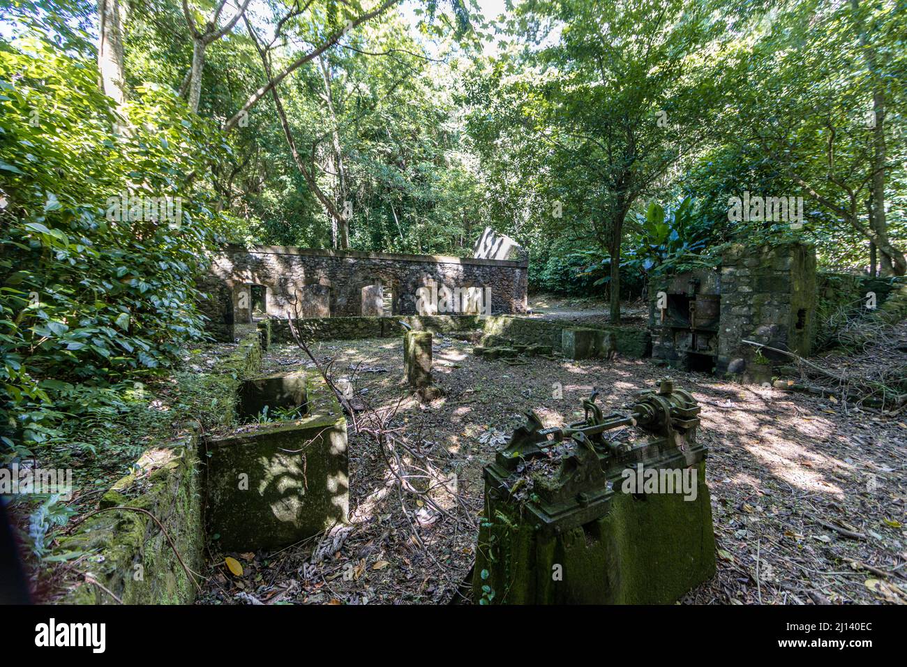 Ruins of Anse Couleuvre plantation - Le Precheur, Martinique French ...