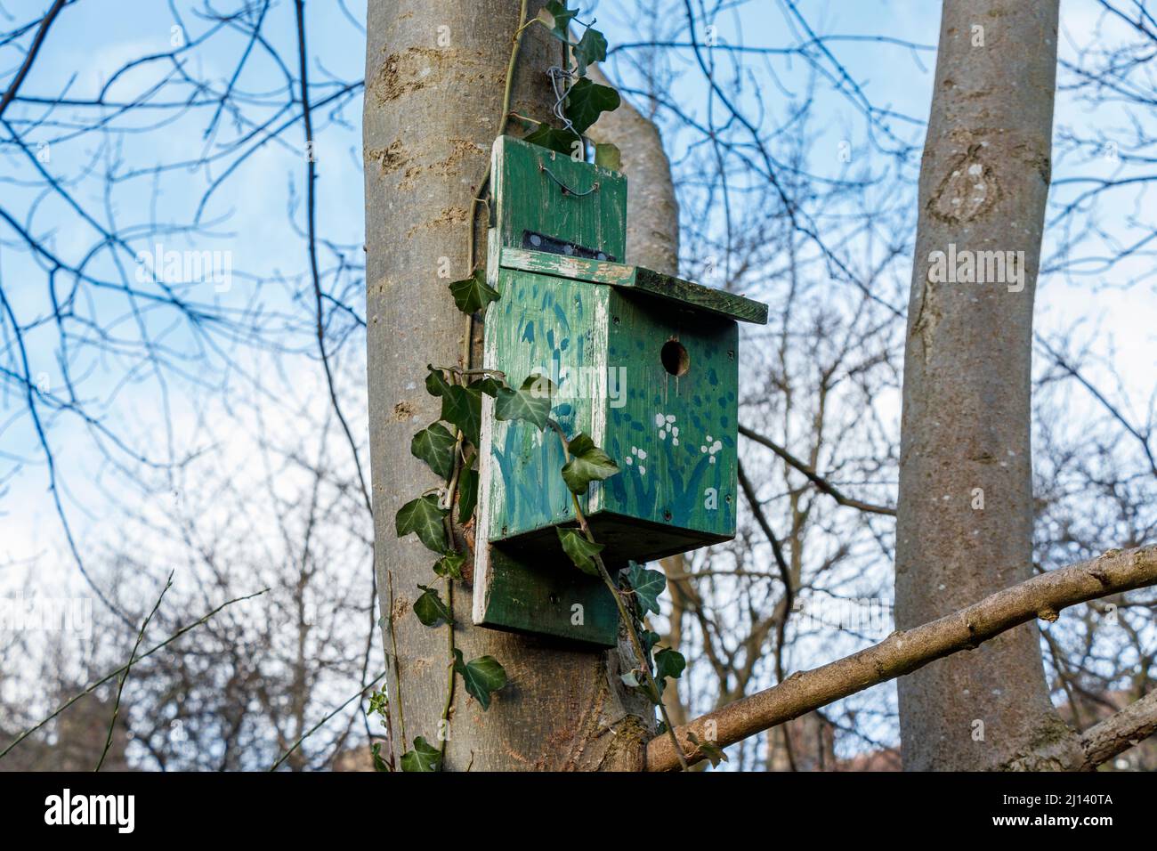 A bird nesting box in Sunnyside Gardens, North London, UK Stock Photo ...