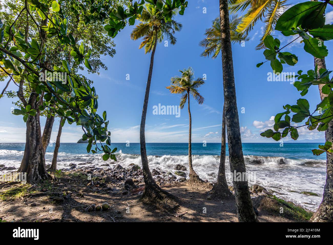 Anse Couleuvre beach - Le Precheur, Martinique French Antilles Stock ...