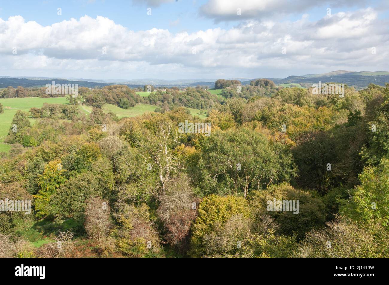 View of Dinefwr Estate from Dinefwr Castle Stock Photo - Alamy