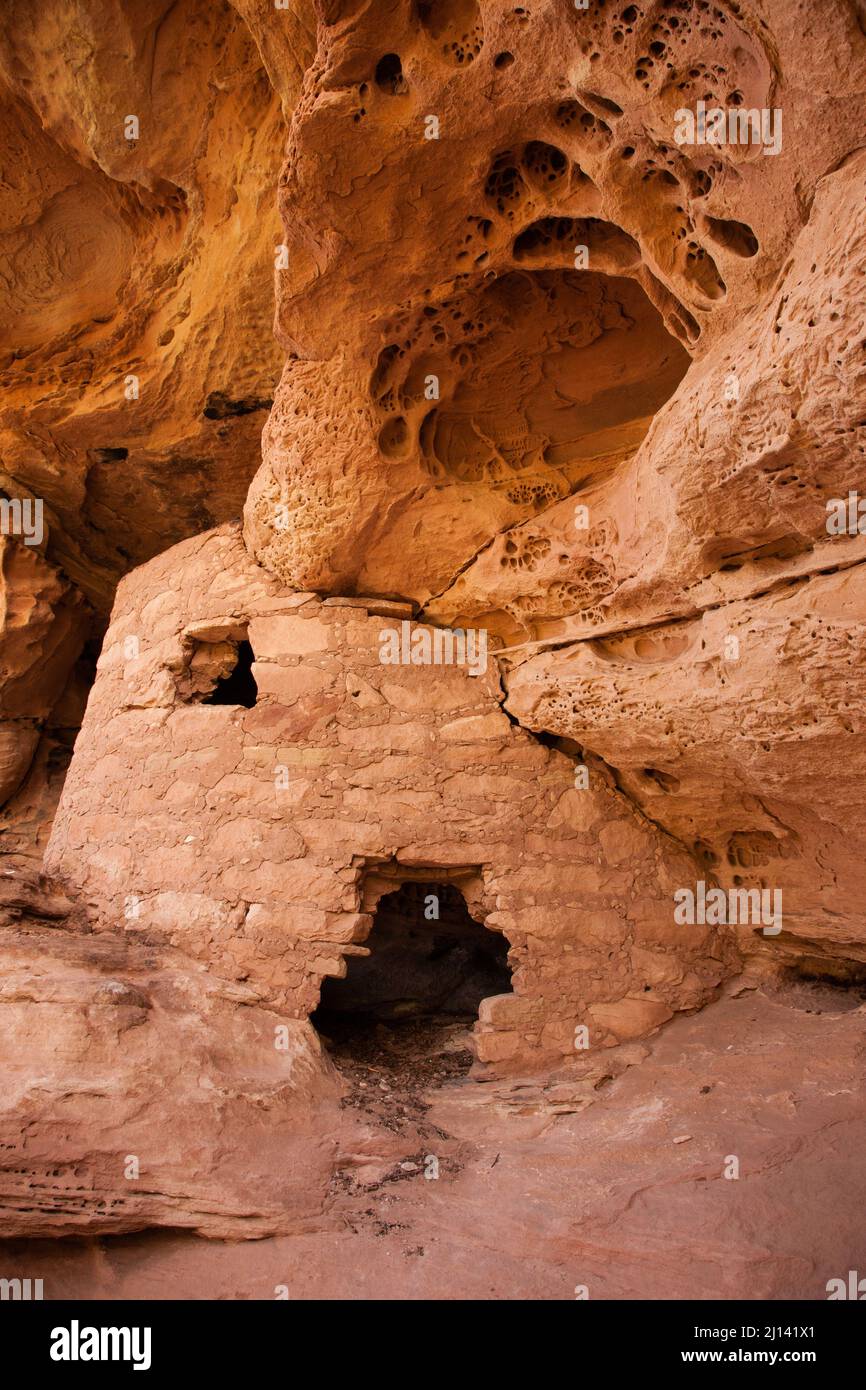 The Lace Rock Ruin is a 1000-year old Ancestral Puebloan cliff dwelling ...