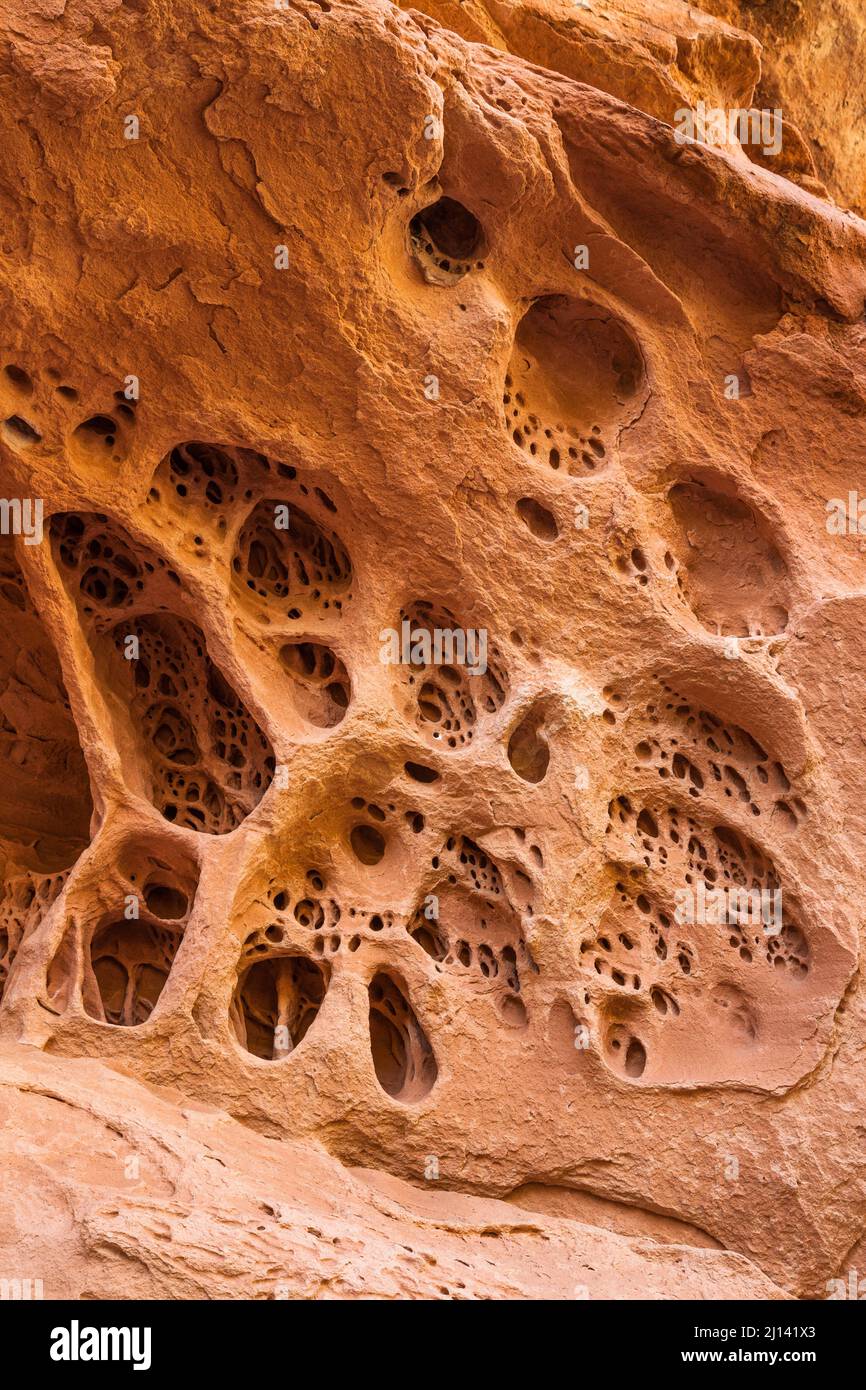 Rock lace or tafoni in the eroded sandstone next to the Lace Ruin on ...