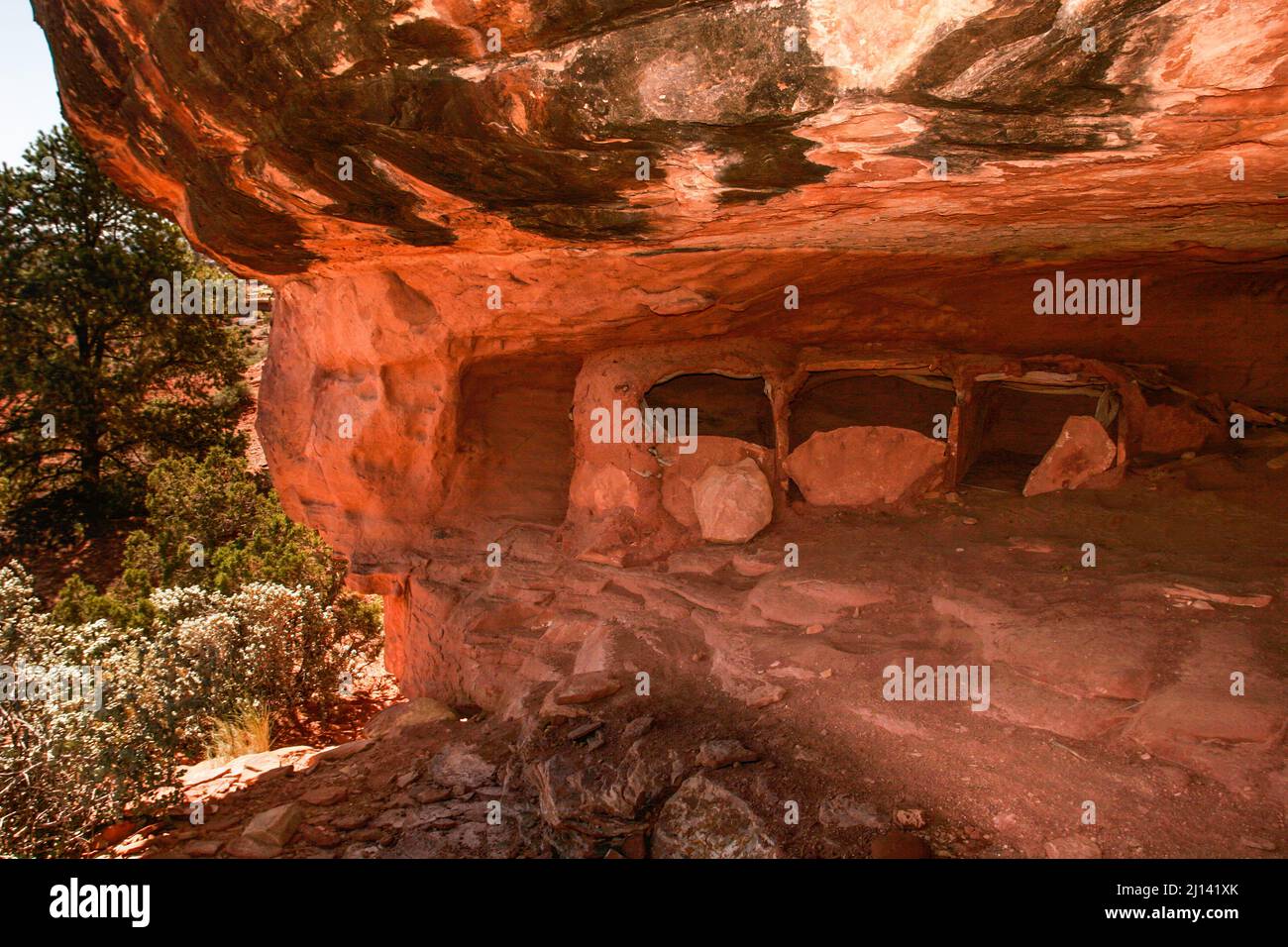 Three ancient Ancestral Pueblan storage granaries in an alcove in the ...