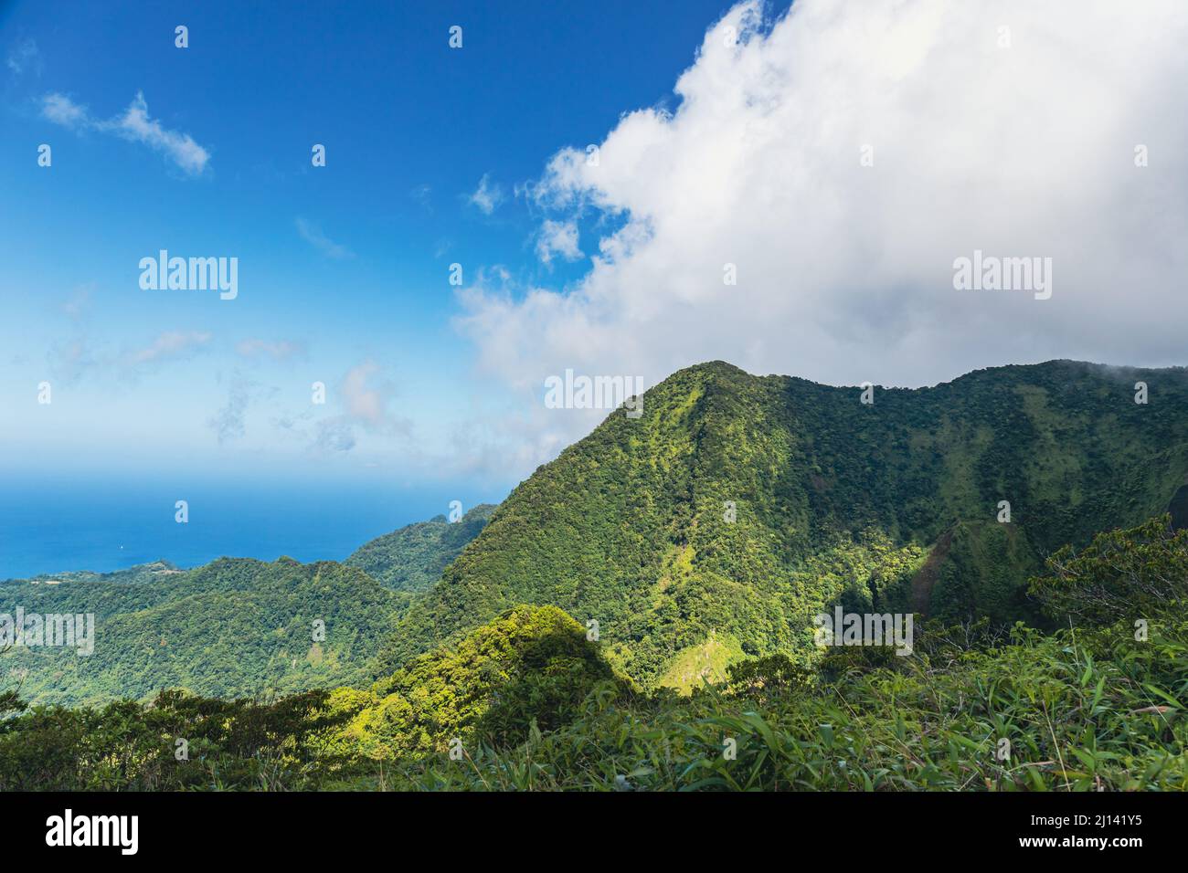 Hike to the top of Mount Pelee, Martinique, French Antilles Stock Photo ...