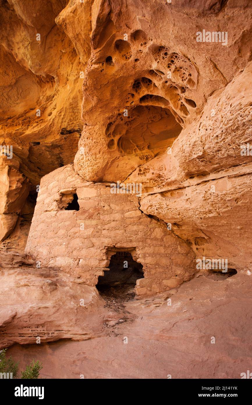 The Lace Rock Ruin is a 1000-year old Ancestral Puebloan cliff dwelling ...