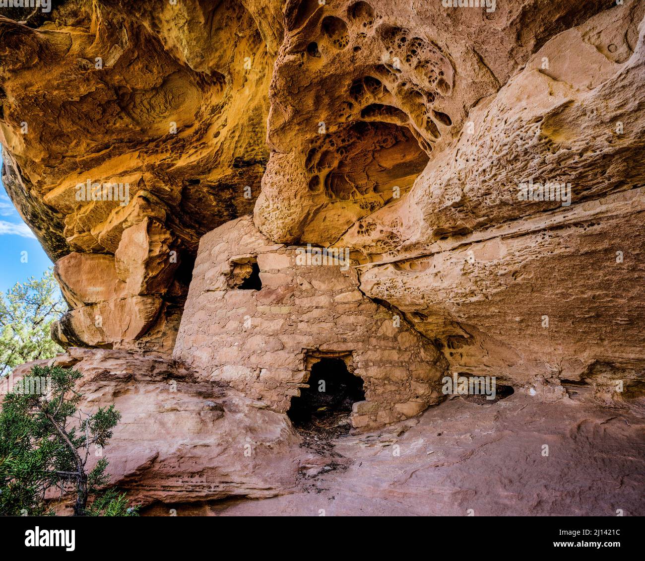 The Lace Rock Ruin is a 1000-year old Ancestral Puebloan cliff dwelling ...