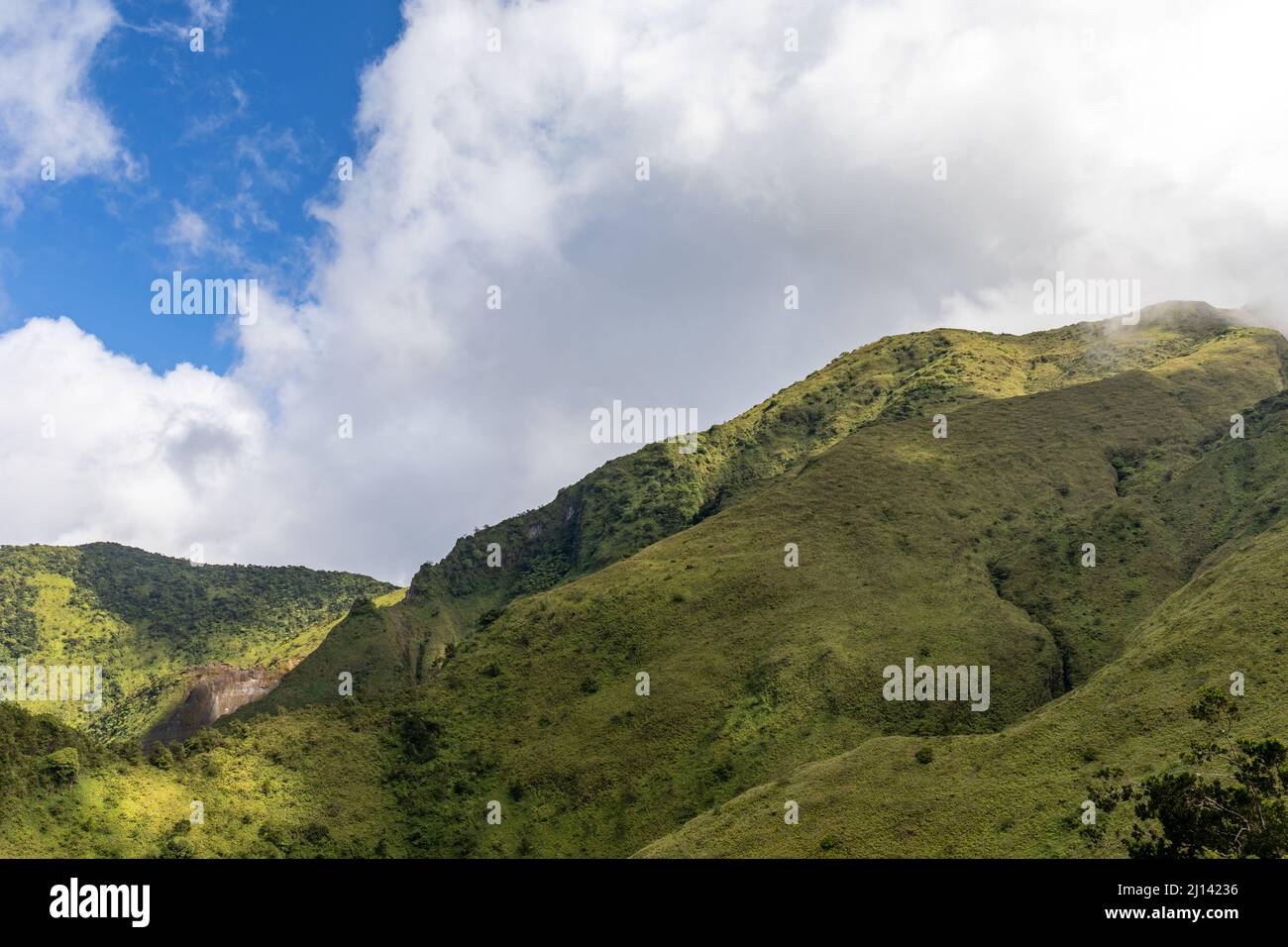 Hike to the top of Mount Pelee, Martinique, French Antilles Stock Photo ...