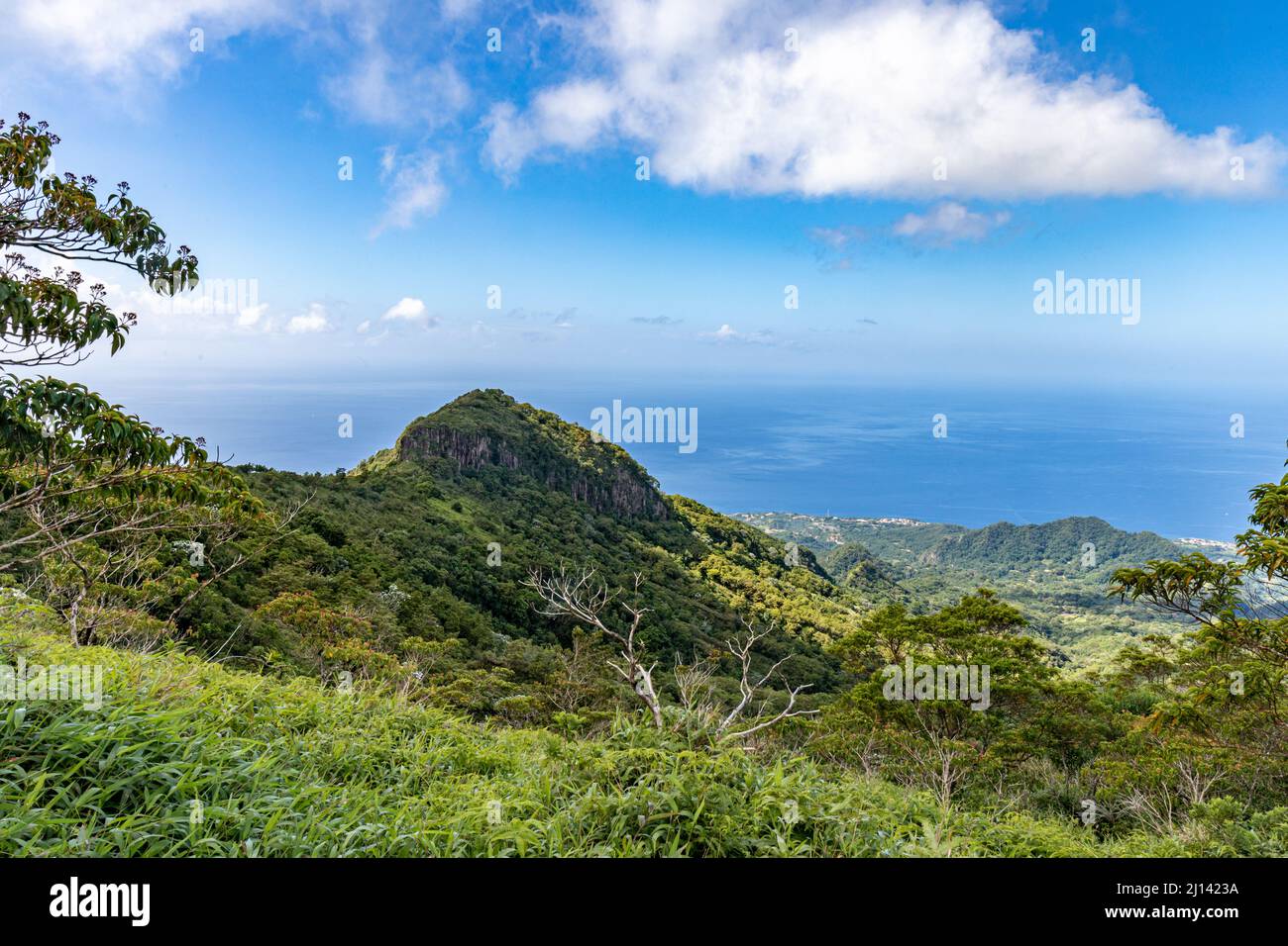 Hike to the top of Mount Pelee, Martinique, French Antilles Stock Photo ...