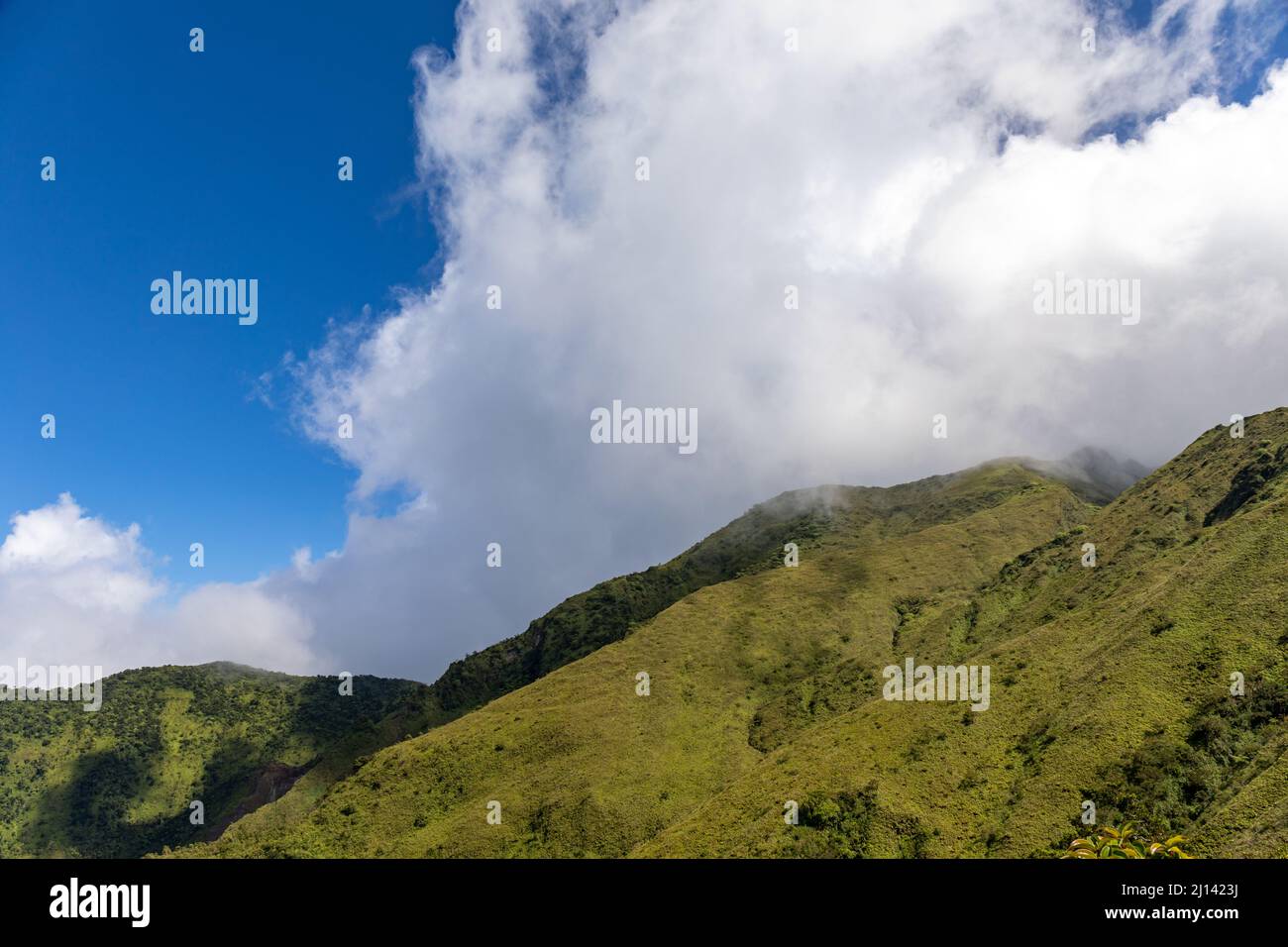 Hike to the top of Mount Pelee, Martinique, French Antilles Stock Photo ...