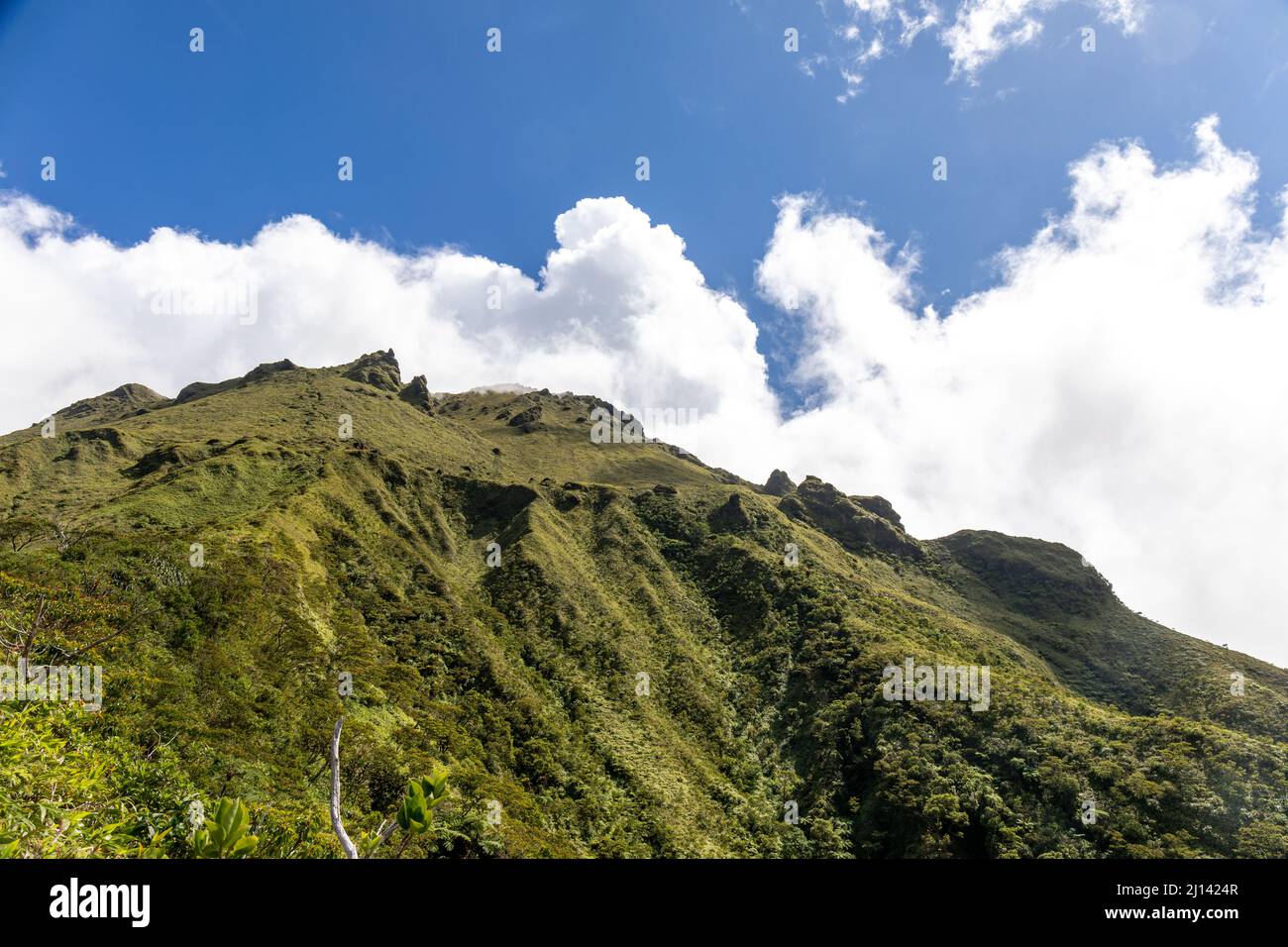 Hike to the top of Mount Pelee, Martinique, French Antilles Stock Photo ...