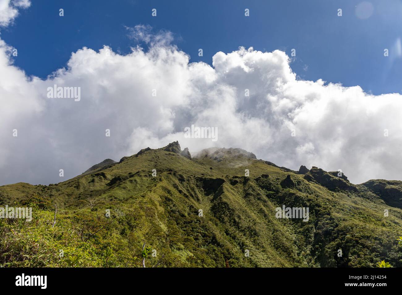 Hike to the top of Mount Pelee, Martinique, French Antilles Stock Photo ...