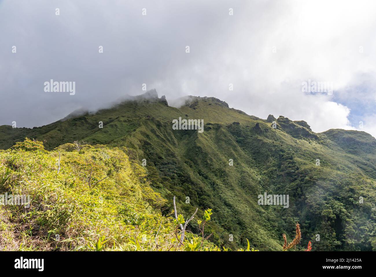 Hike to the top of Mount Pelee, Martinique, French Antilles Stock Photo ...