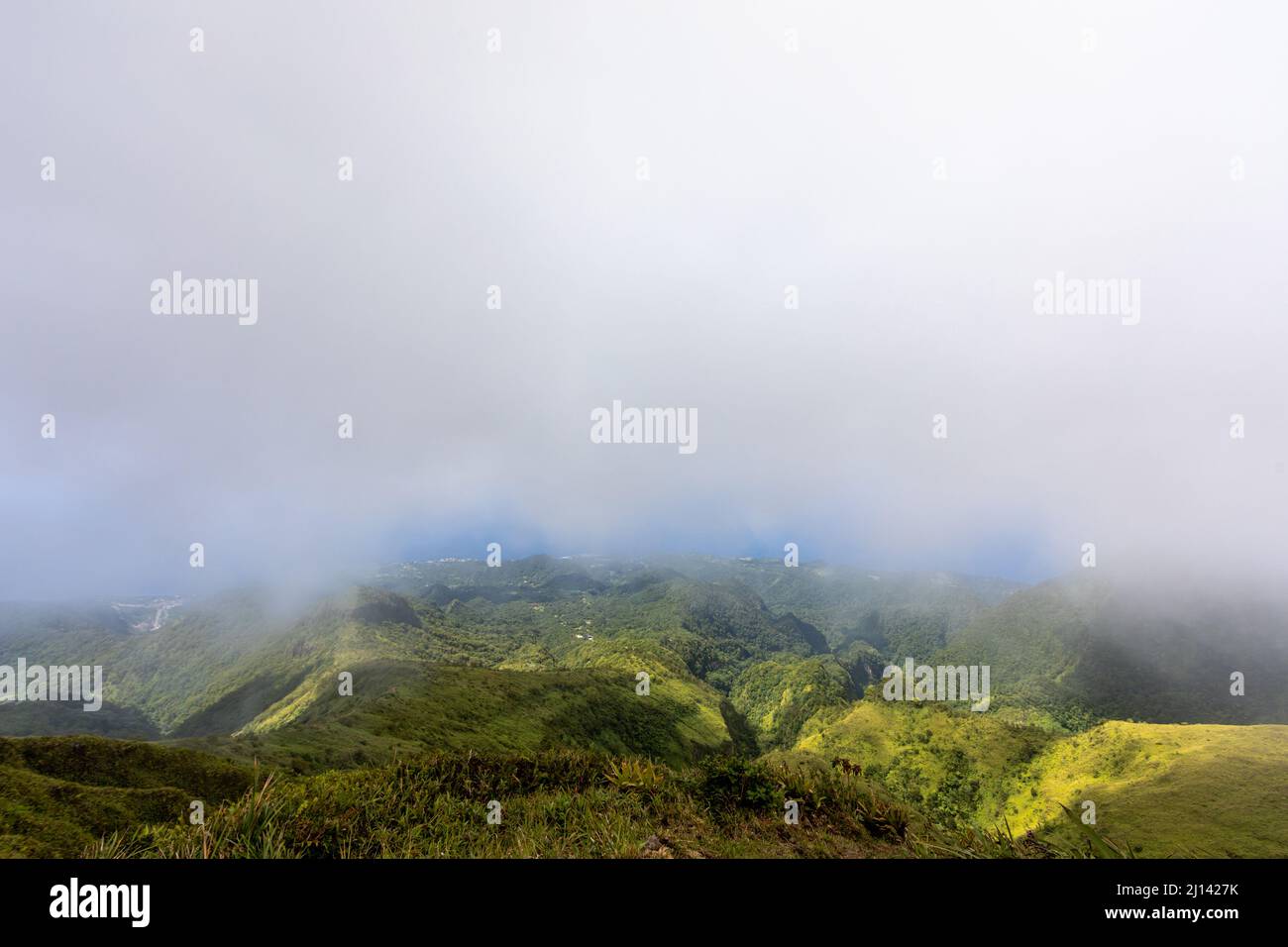 Hike to the top of Mount Pelee, Martinique, French Antilles Stock Photo ...