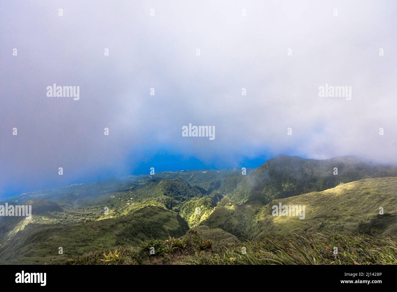 Hike to the top of Mount Pelee, Martinique, French Antilles Stock Photo ...