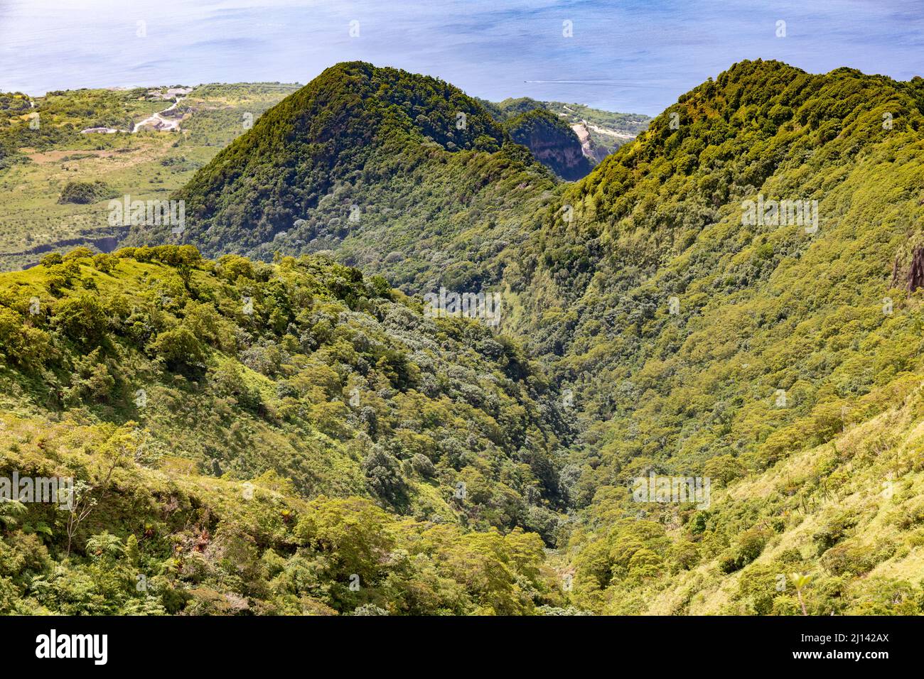 Hike to the top of Mount Pelee, Martinique, French Antilles Stock Photo ...