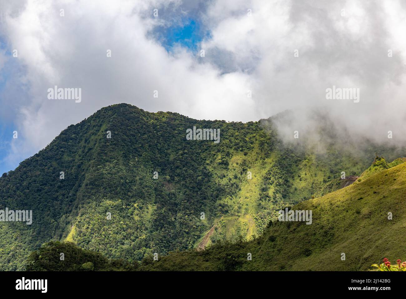Hike to the top of Mount Pelee, Martinique, French Antilles Stock Photo ...