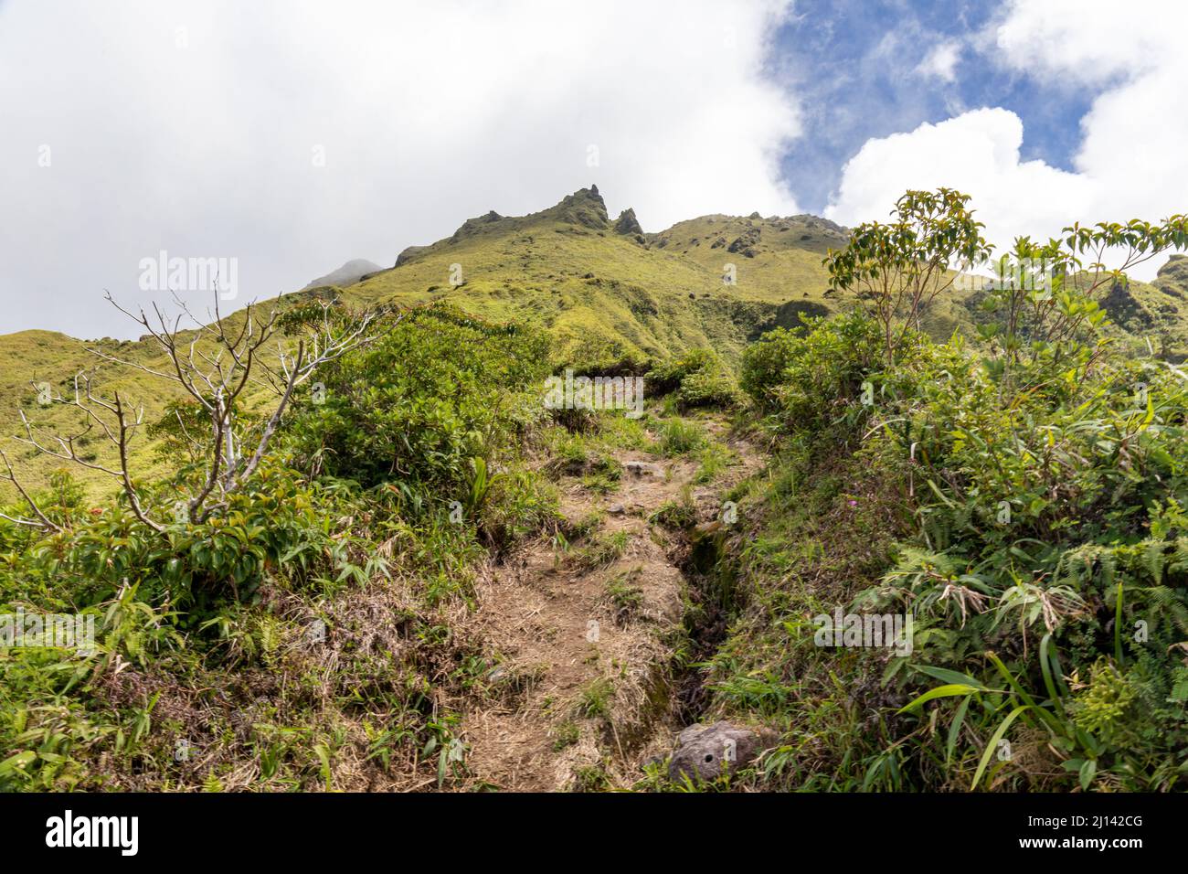 Hike to the top of Mount Pelee, Martinique, French Antilles Stock Photo ...