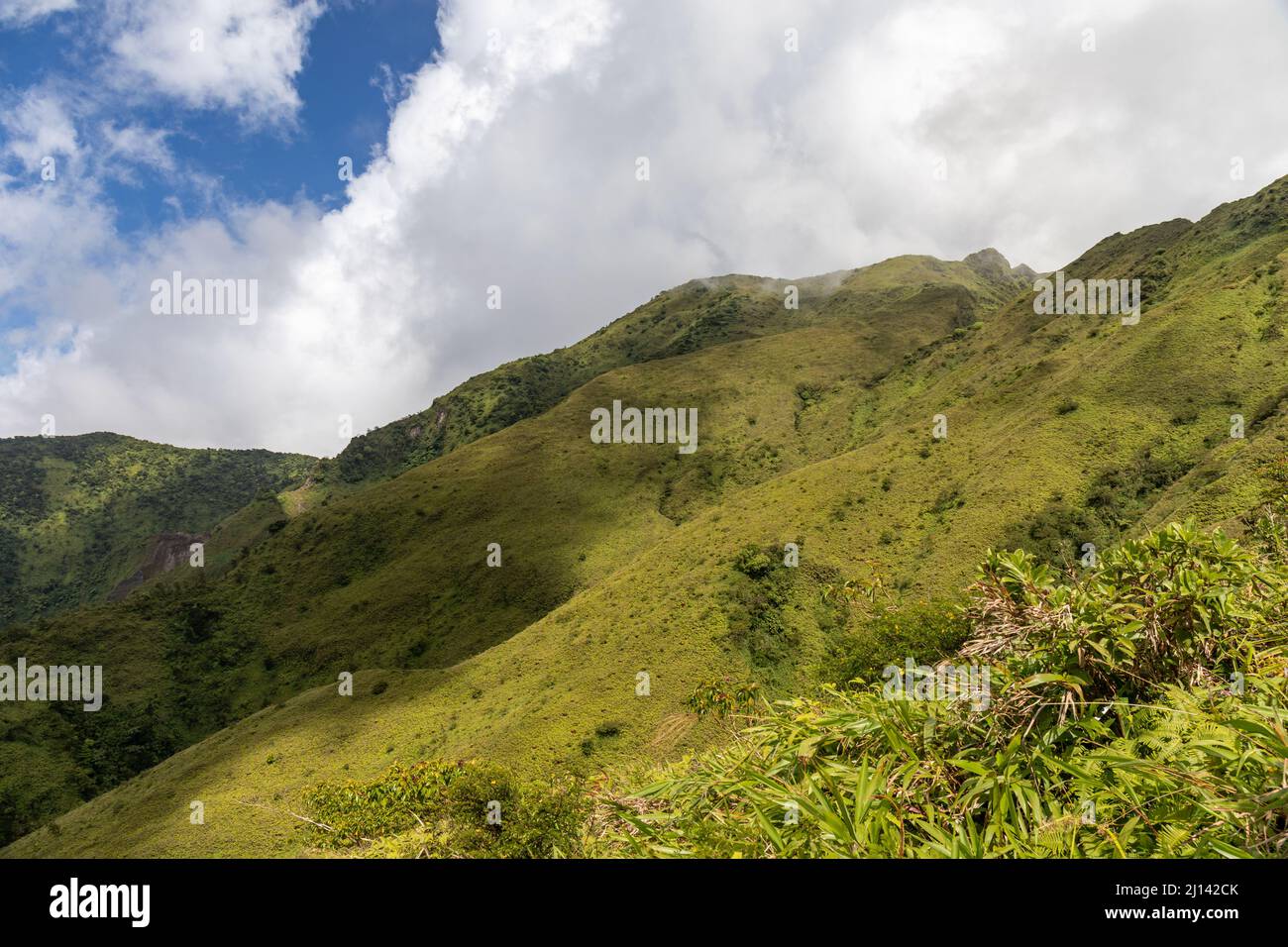 Hike to the top of Mount Pelee, Martinique, French Antilles Stock Photo ...