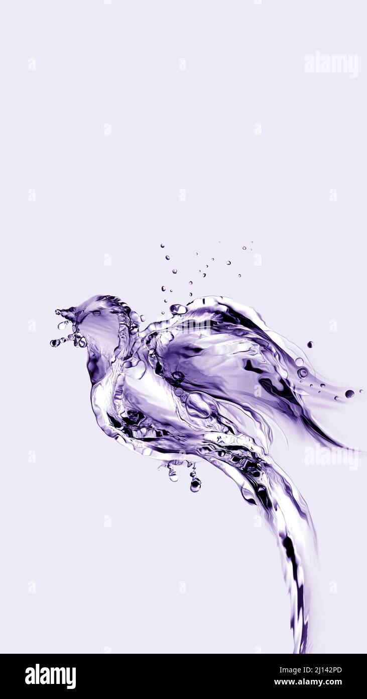 A violet bird made of water flying away Stock Photo - Alamy