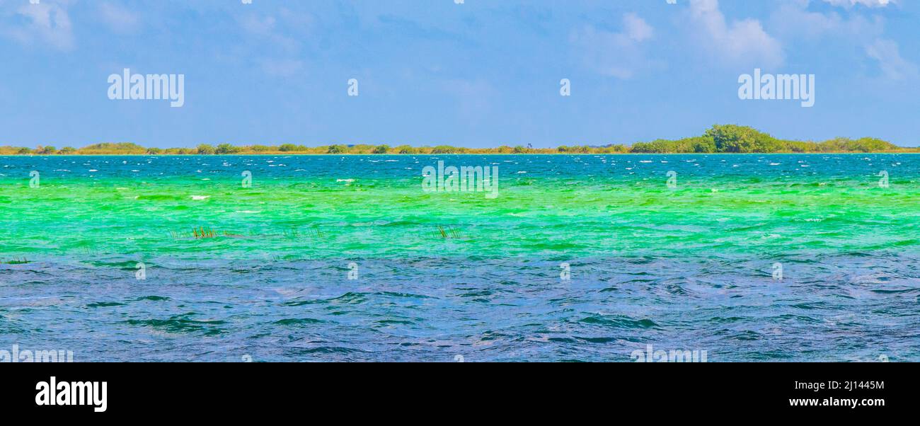 Amazing natural panorama view to the Muyil Lagoon in the tropical ...