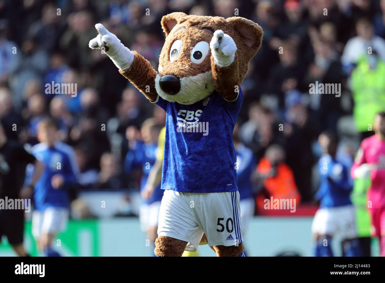 Leicester city mascot hi-res stock photography and images - Alamy