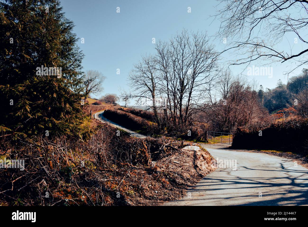Winding track winding lane hi-res stock photography and images - Alamy