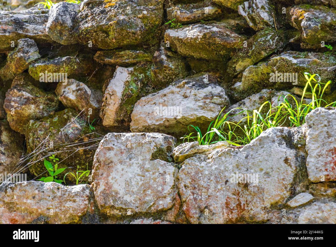 Texture of the ancient Mayan site with temple ruins pyramids and ...