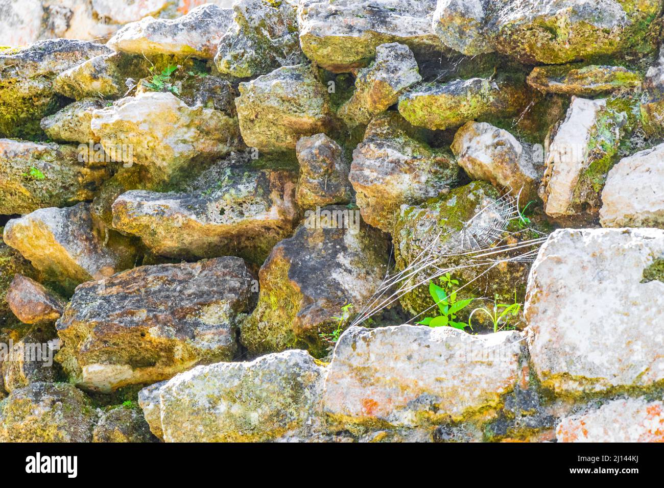 Texture of the ancient Mayan site with temple ruins pyramids and ...