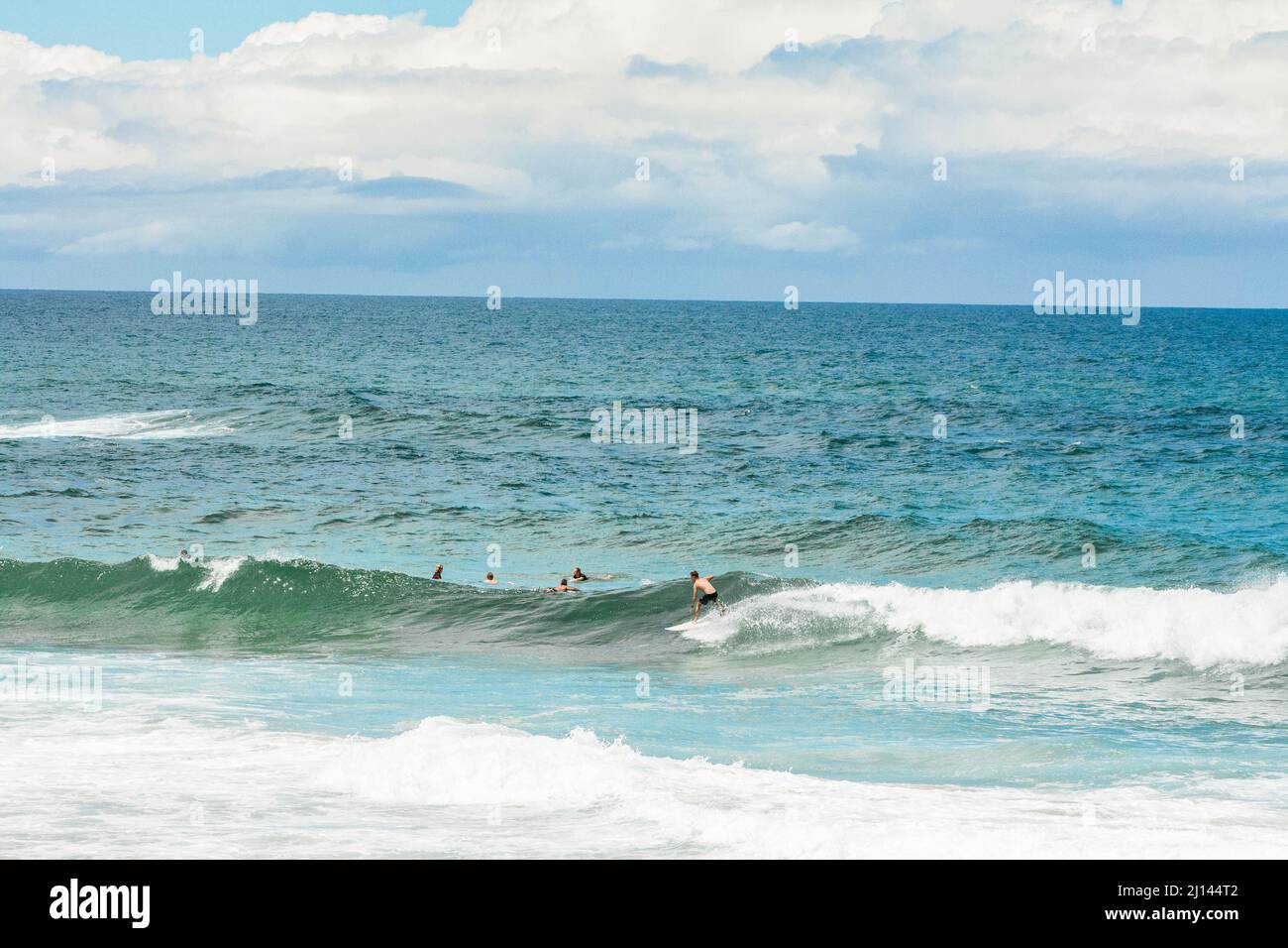 Group of people swimming and young male surfing in the blue wavy ocean ...